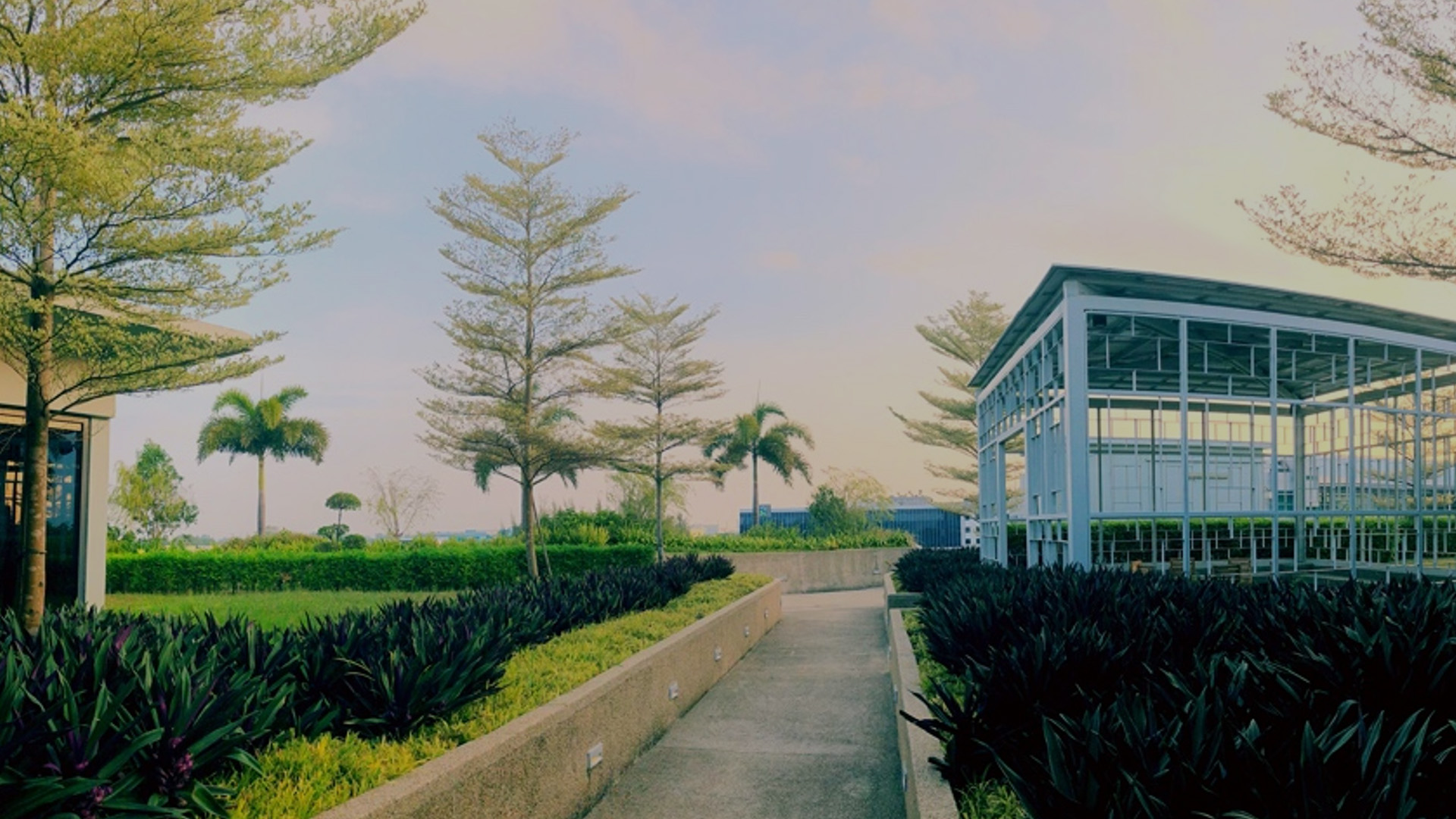 Aviation Training | E-Learning | VR | Software | Team Building Actvities